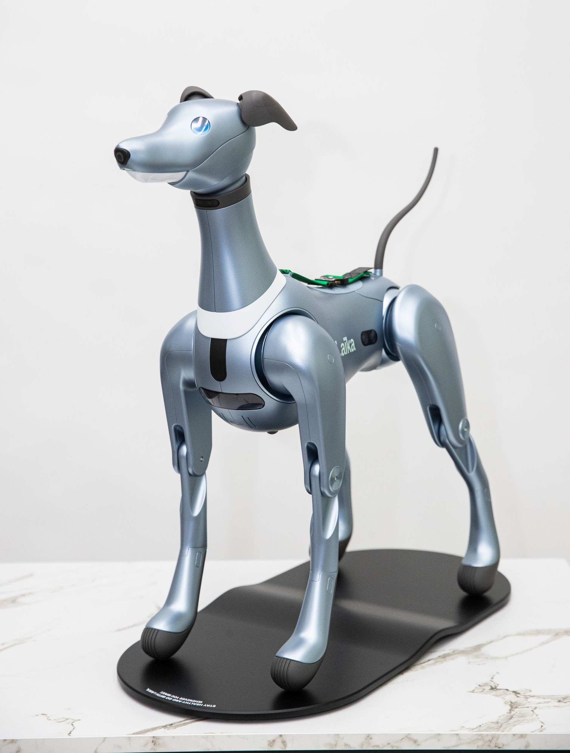 Model Solution celebra una ceremonia de premiación por 'MOA' con la ...